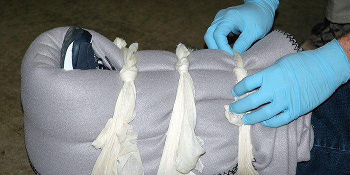 Basic First Aid and CPR/AED Courses (including Emergency and Standard ...